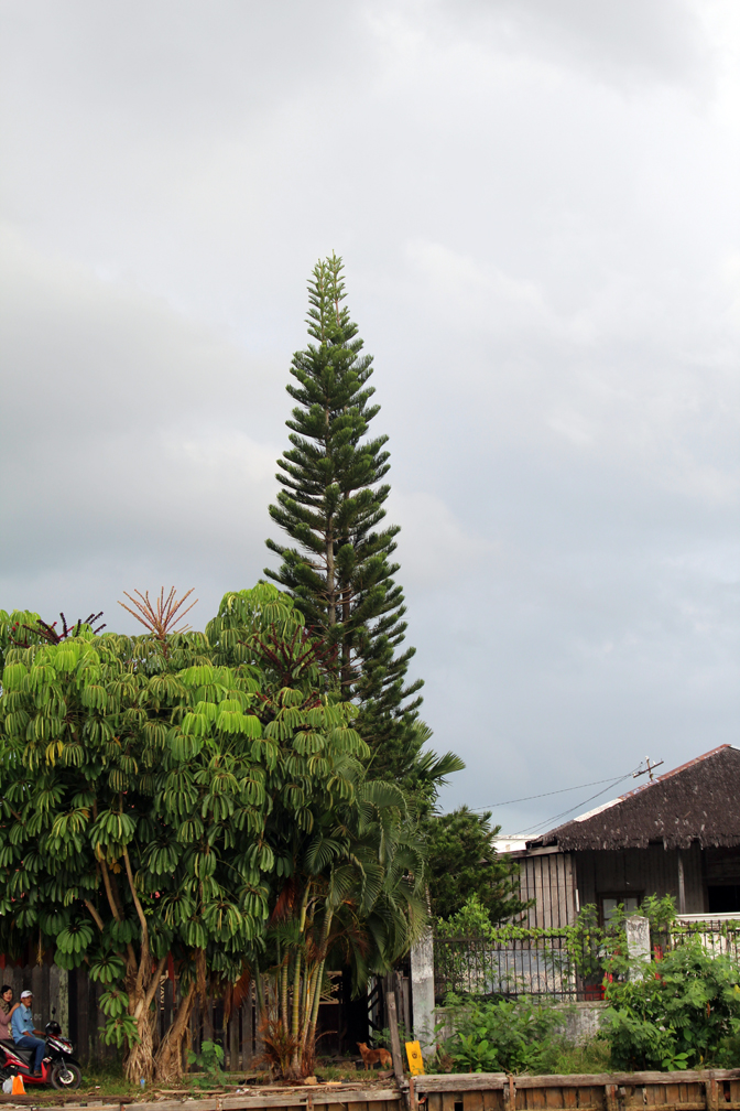 sabilal muhtadin mosque | The Elements Unearthed