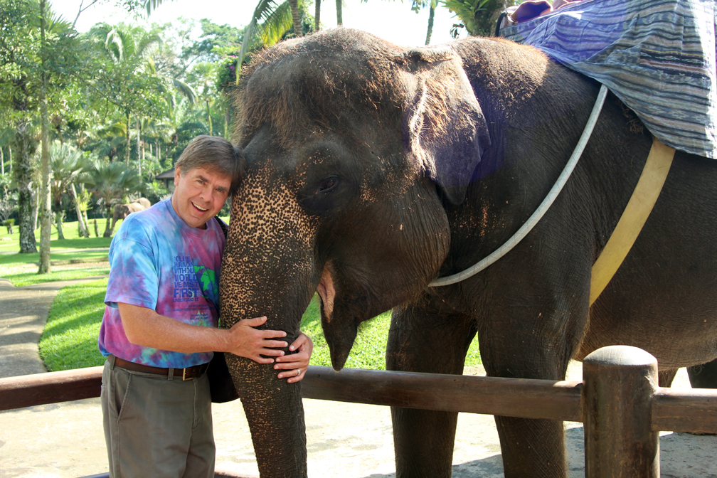 Baby Elephant Walk | The Elements Unearthed