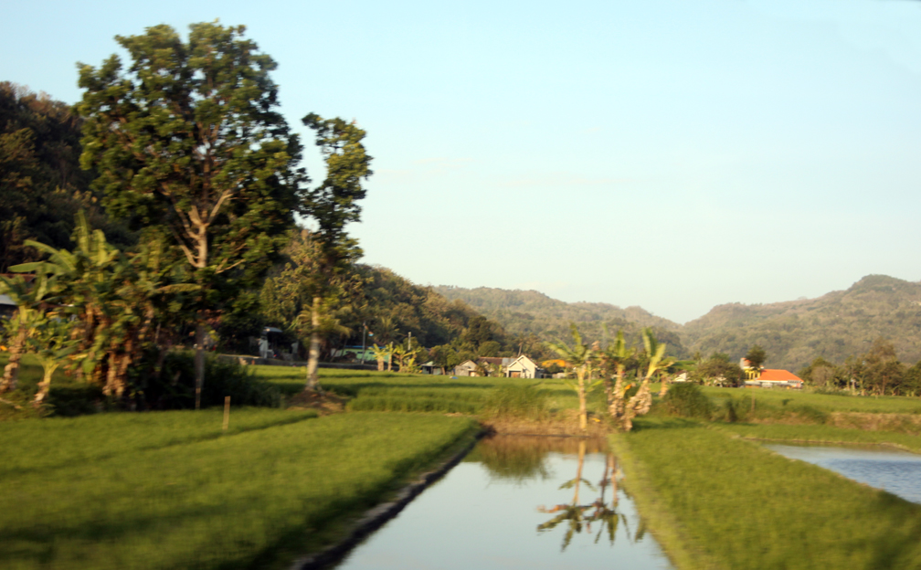 sailendra kingdom | The Elements Unearthed