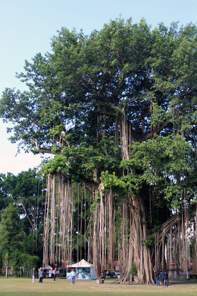 Mendut Temple and Monastery | The Elements Unearthed