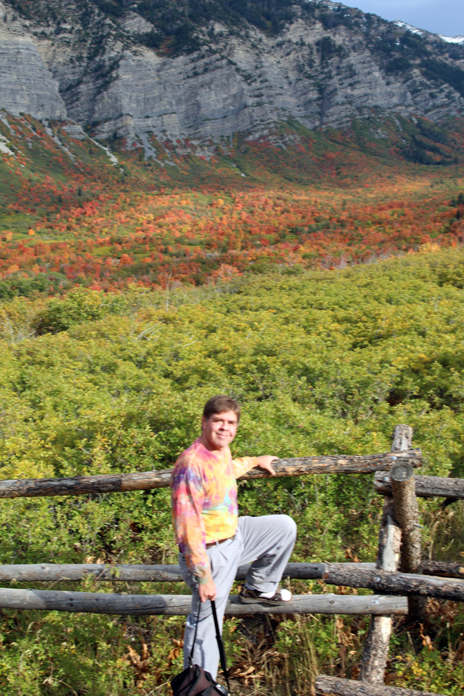 A Drastic Change of Plans | The Elements Unearthed