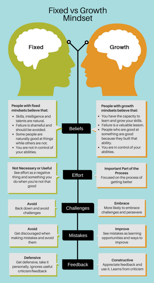 Teaching Students Resilience and a Growth Mindset | The Elements Unearthed